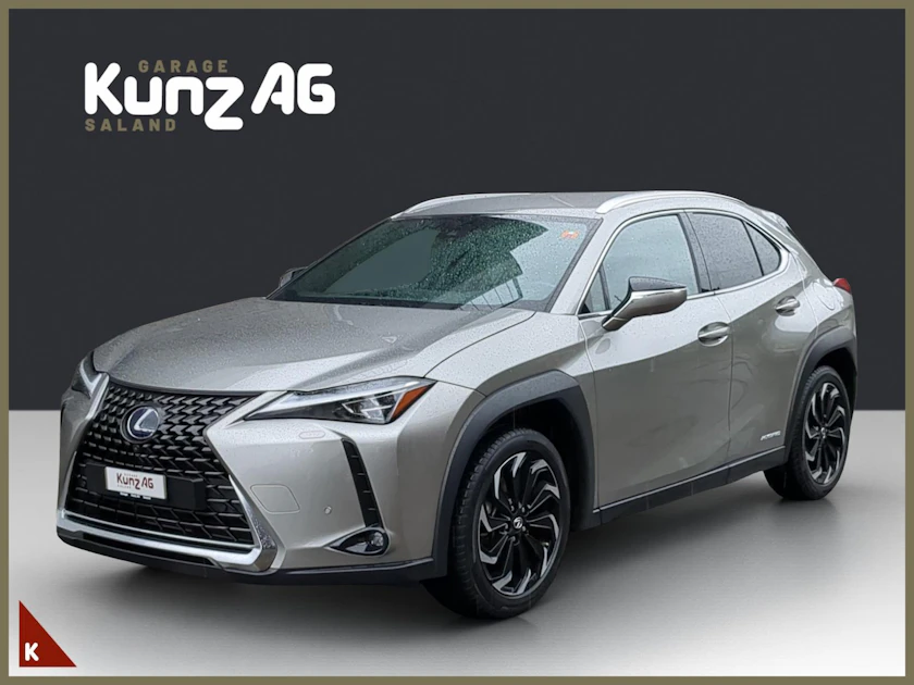 Lexus UX 250h Excellence Occasion CHF 26’900.– | Carmarket